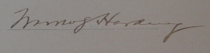 Warren G. Harding Autograph - beautiful framed appointment, 9-12-1922